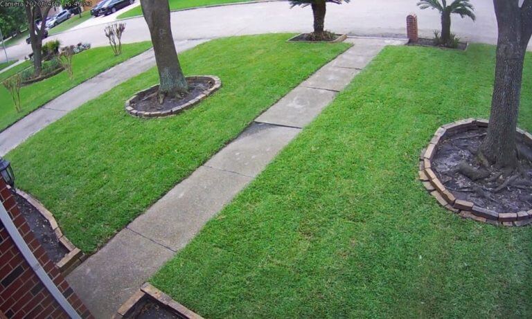 Sod Installation Houston – TLH Grass Sod Sales and Installation