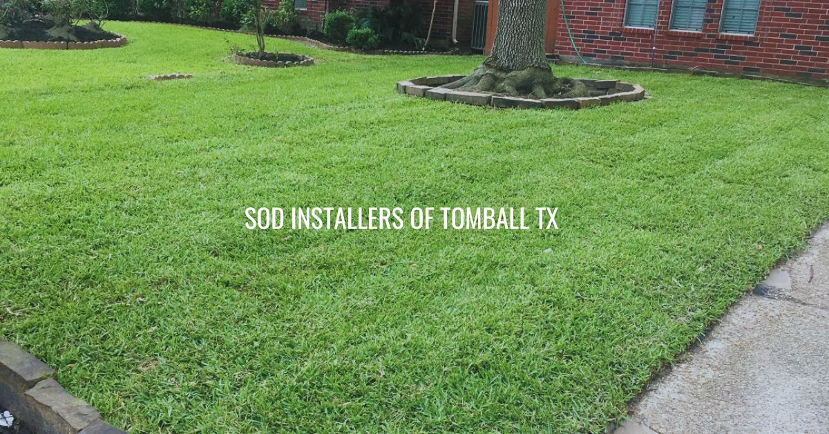 Sod Installation Tomball, TX – Full Prep and Laydown Options