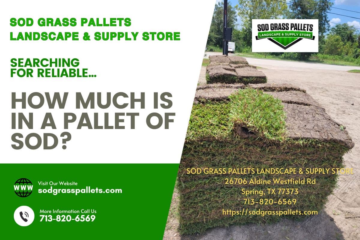 Sod Per Pallet? | 450 Sq Ft Coverage Info | Call 713-820-6569
