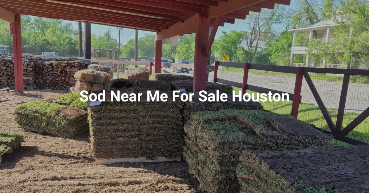 Sod Near Me Houston – Fresh Sod for Sale & Local Delivery
