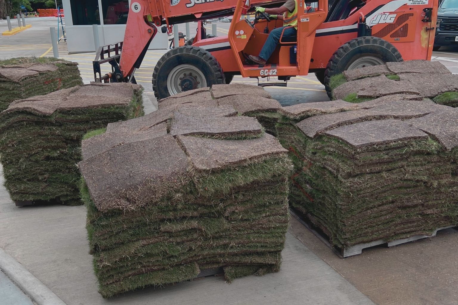 Pallet Of St Augustine Sod Near Me